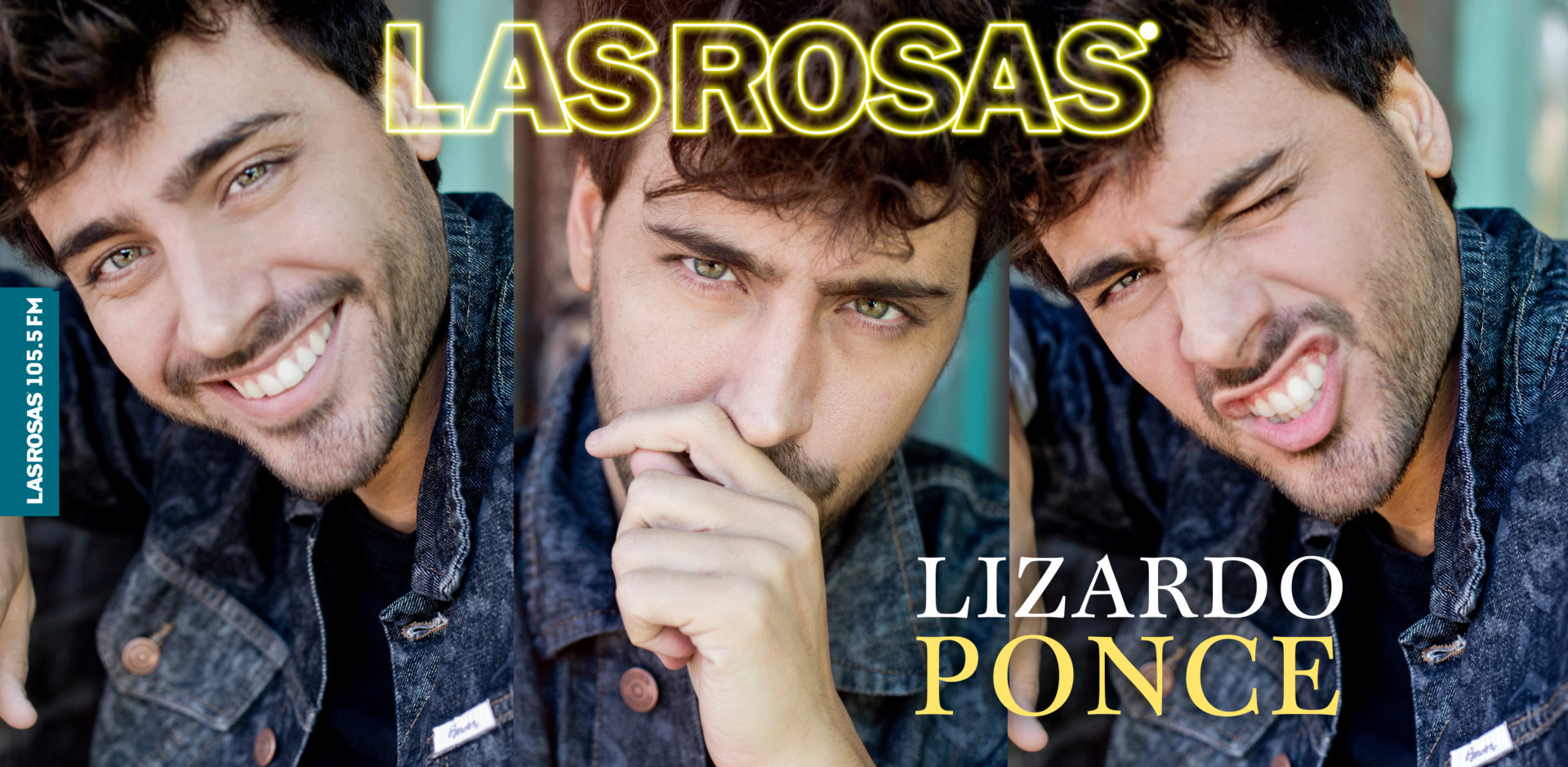 WEB LIZARDO - LAS ROSAS